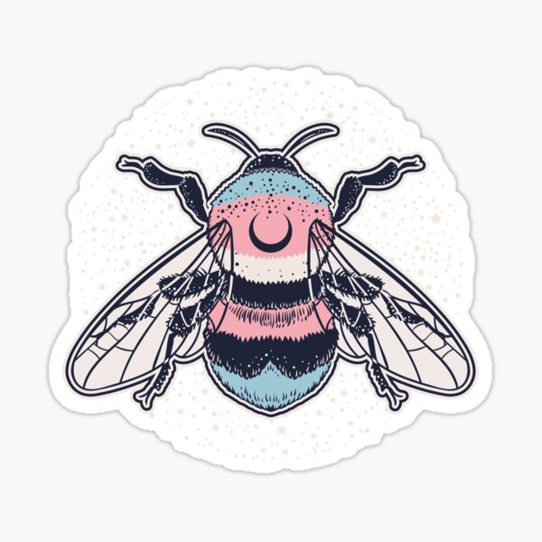 "Transgender Bee Proud LGBT Pride Flag" Sticker for Sale by Psitta ...