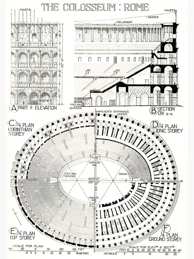 "Colosseum Rome Blueprint Poster" Poster for Sale by tokirey667 | Redbubble