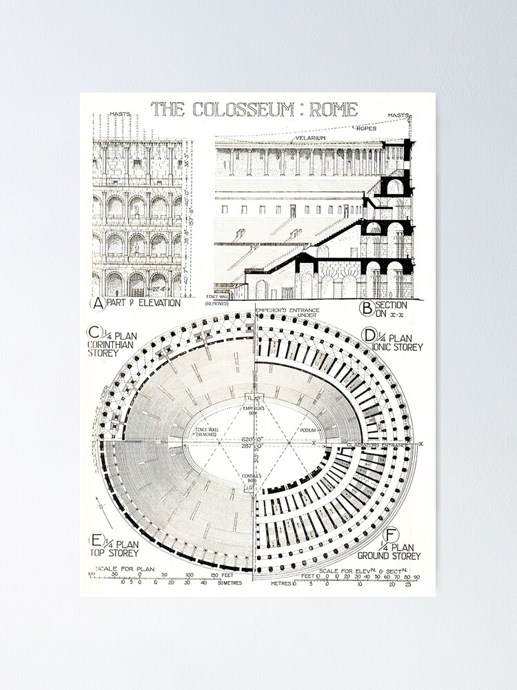 "Colosseum Rome Blueprint Poster" Poster for Sale by tokirey667 | Redbubble