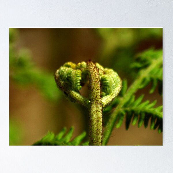 Triffids Merch & Gifts for Sale | Redbubble