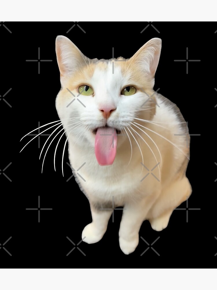 "Bleh P Cat Meme (Not Doing That Cat)" Poster for Sale by fomodesigns ...