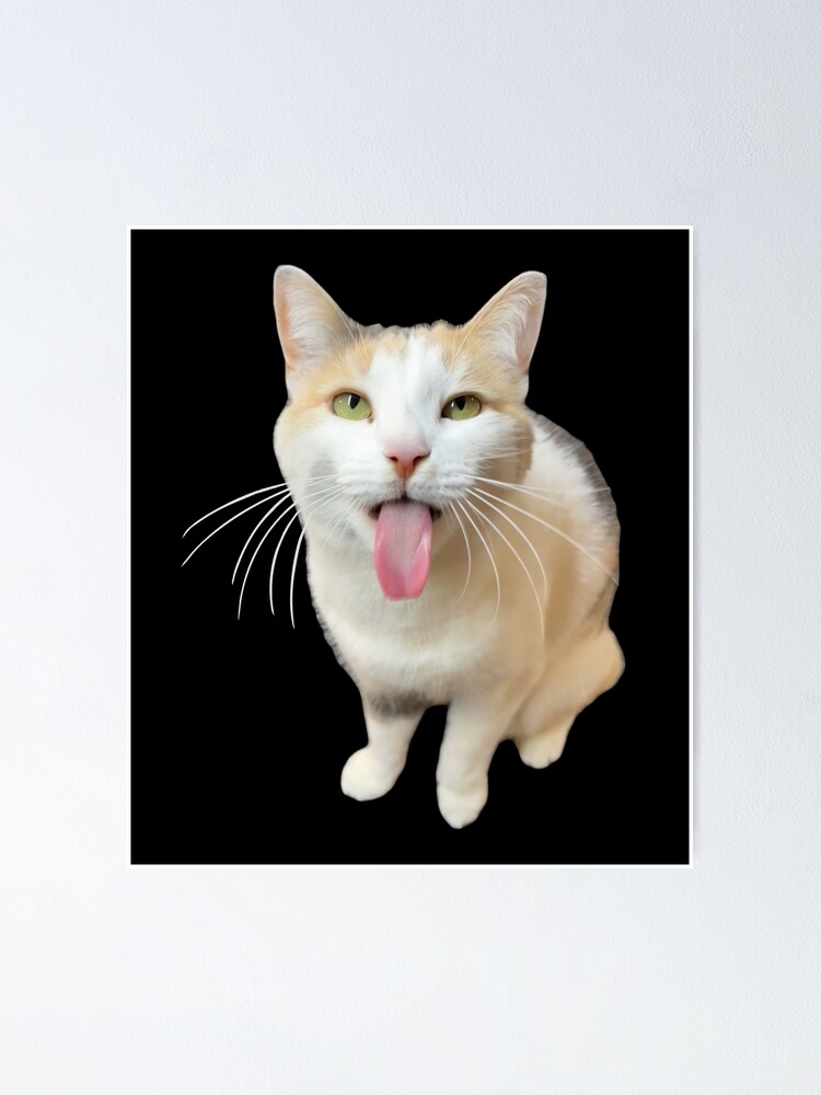 "Bleh P Cat Meme (Not Doing That Cat)" Poster for Sale by fomodesigns ...