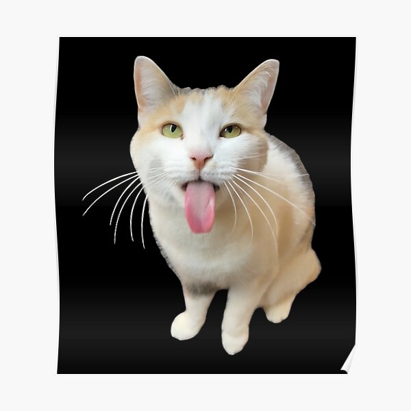 "Bleh P Cat Meme (Not Doing That Cat)" Poster for Sale by fomodesigns ...