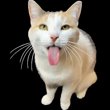 "Bleh P Cat Meme (Not Doing That Cat)" Sticker for Sale by fomodesigns ...