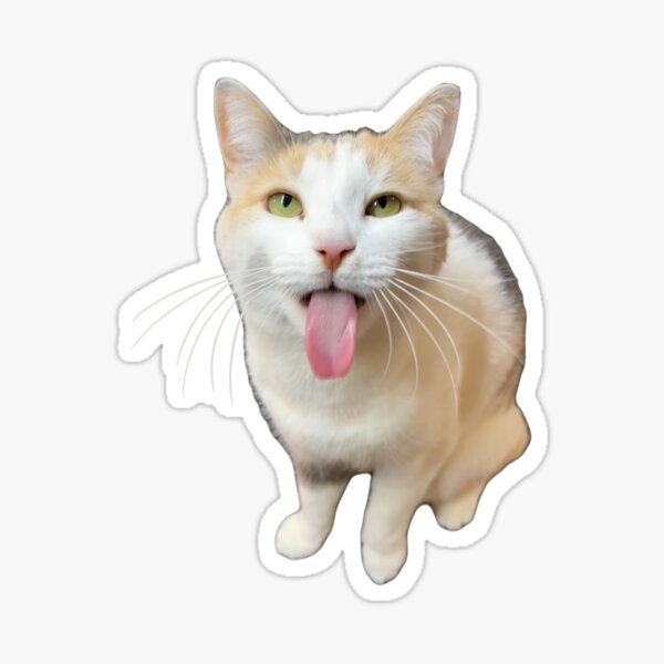 "Bleh P Cat Meme (Not Doing That Cat)" Sticker for Sale by fomodesigns ...