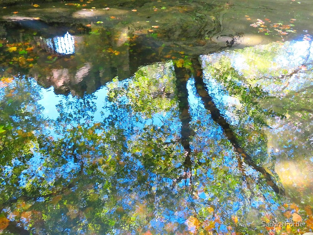 "Puddle Art" by Sandra Fortier | Redbubble