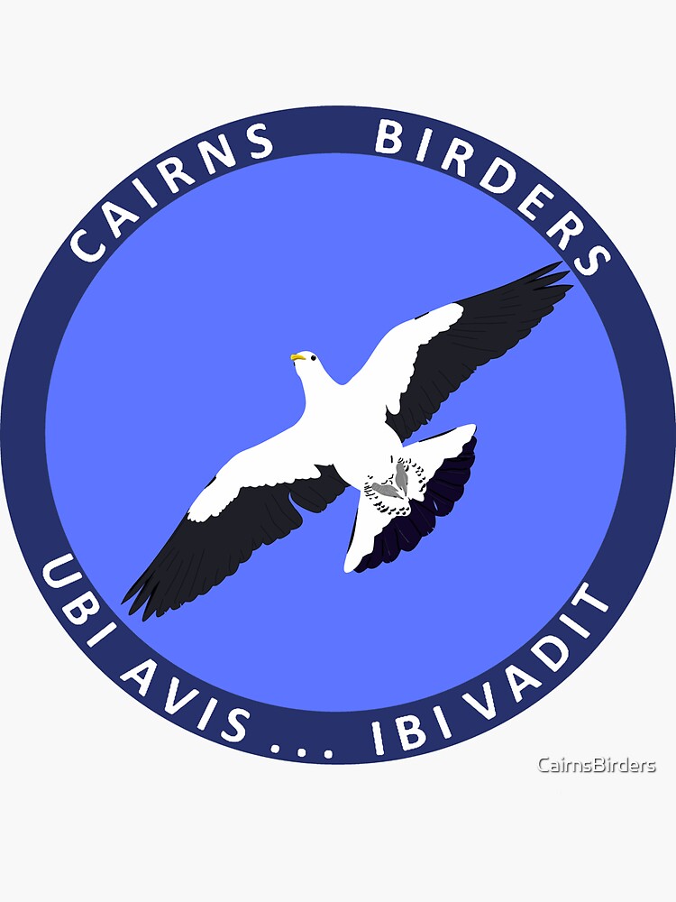 "Torresian Imperial Pigeon with Cairns Birders and motto" Sticker for ...