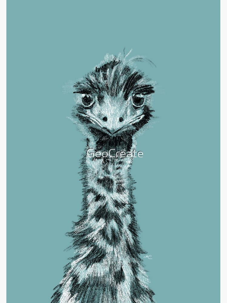 "Emu sketch " Poster for Sale by GeoCreate | Redbubble