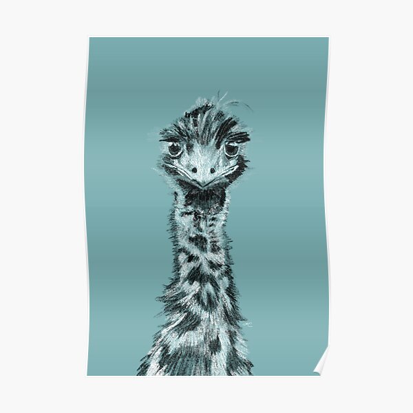 "Emu sketch " Poster for Sale by GeoCreate | Redbubble