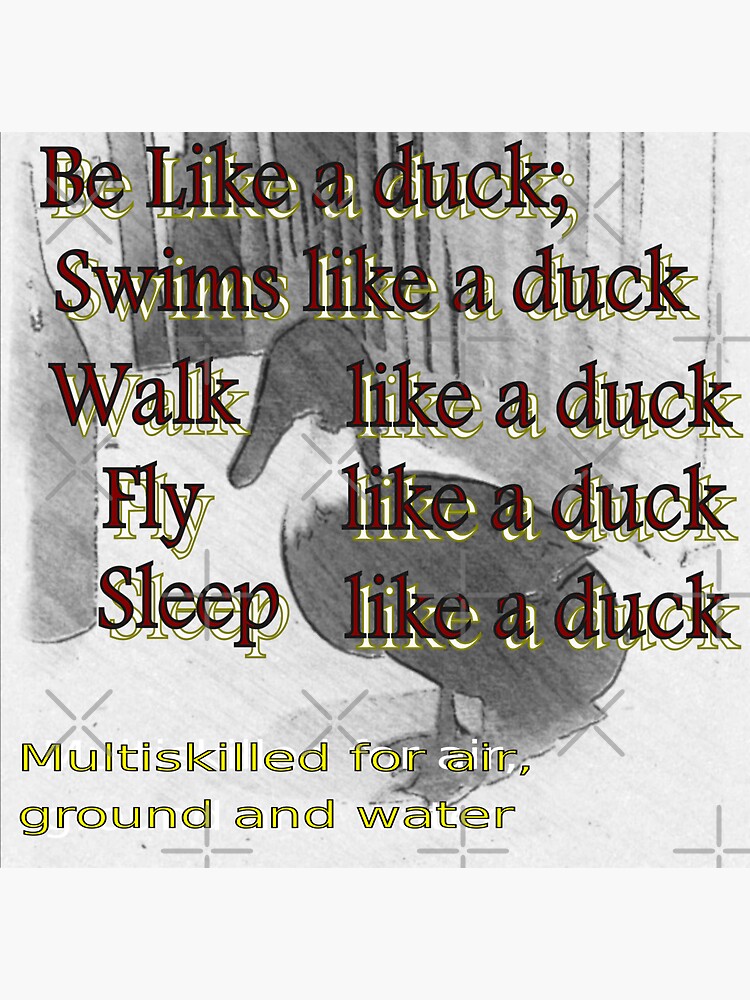 "Be like a Duck - Swims Like a Duck, Walk Like A Duck," Sticker for ...