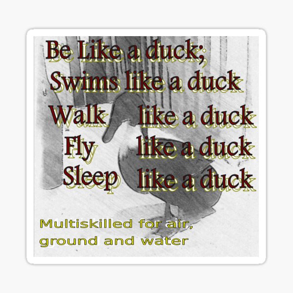 "Be like a Duck - Swims Like a Duck, Walk Like A Duck," Sticker for ...