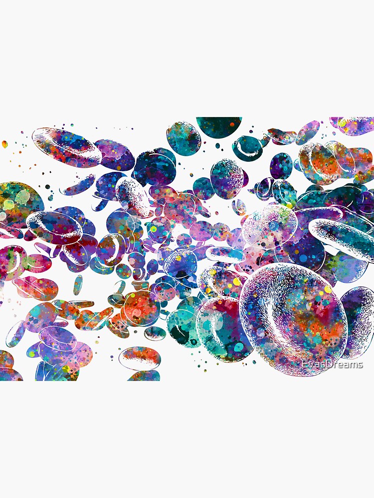 "Red Blood Cells" Sticker for Sale by EvasDreams | Redbubble