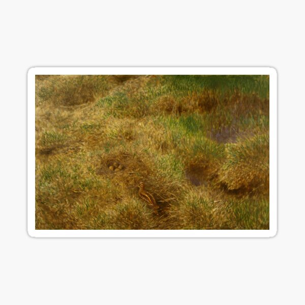 "Snipe's Nest" Sticker for Sale by rimmatv | Redbubble