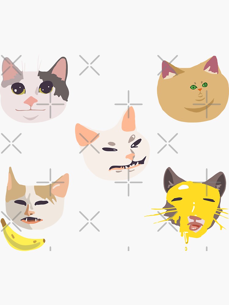 "Cursed Cat Image" Sticker for Sale by printify | Redbubble