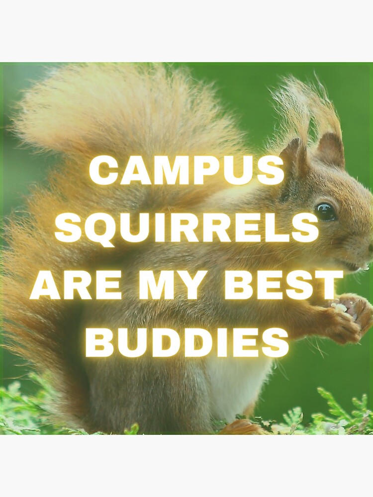 "CAMPUS SQUIRRELS BEST BUDDIES" Sticker for Sale by gaffirmations | Redbubble