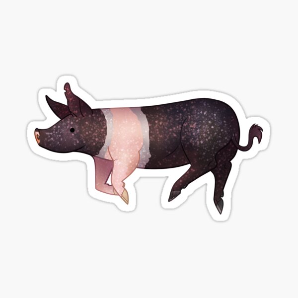 "Cozy Hampshire Pig" Sticker for Sale by FeenicksPhoenix | Redbubble