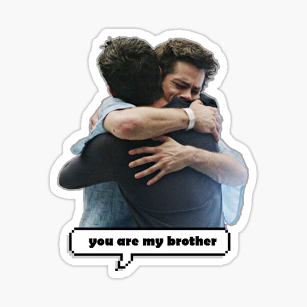 "Brothers" Sticker for Sale by LinkinAlice | Redbubble