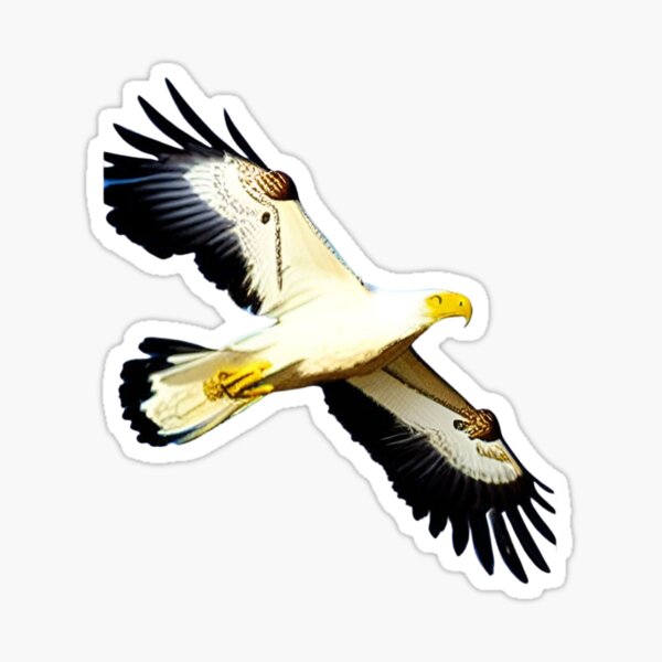"Flying Eagle" Sticker for Sale by David-Howells | Redbubble