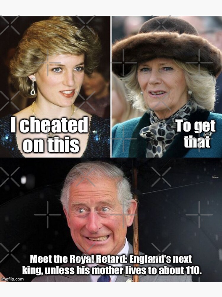 "Camilla Parker Bowles " Poster for Sale by Ted-Seller | Redbubble