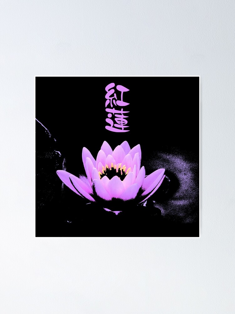 "Japanese Pink Lotus Flower - abstract - kanji - transparent background ...