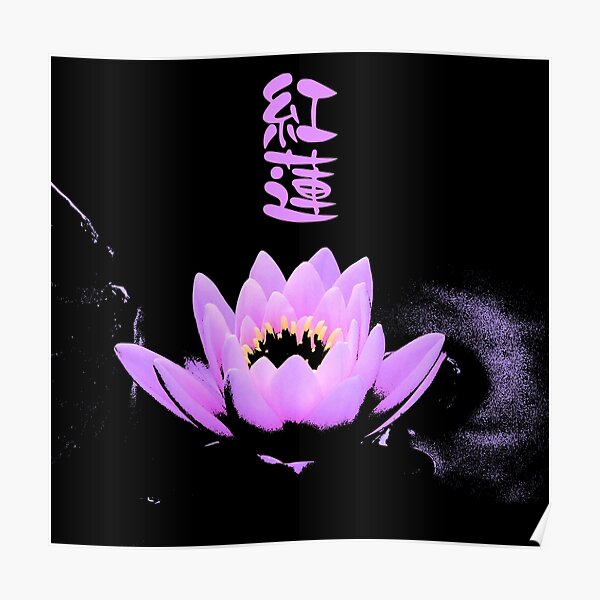 "Japanese Pink Lotus Flower - abstract - kanji - transparent background ...