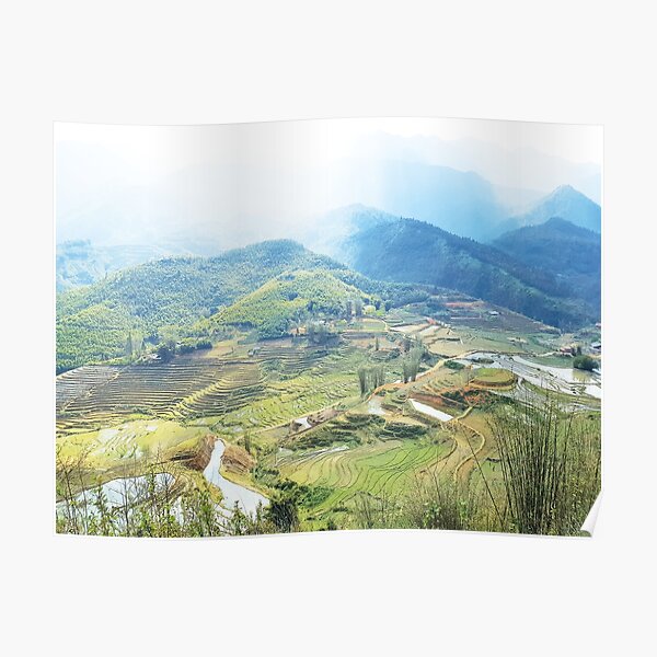 "Rice fields" Poster for Sale by Photo-wizard | Redbubble