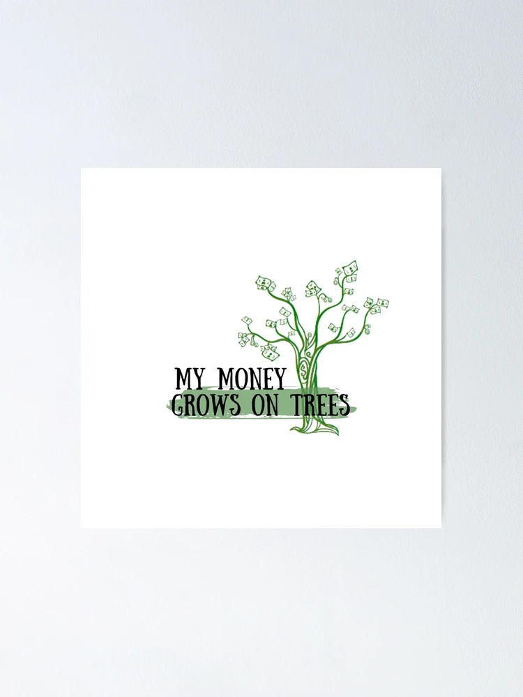Money Tree Quotes Amazon.com : Chinese Money Tree Live Plant Pachira