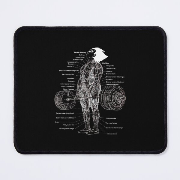 "Vegeta Deadlift Muscle Chart - Anatomy Diagram - Anime Gym ...