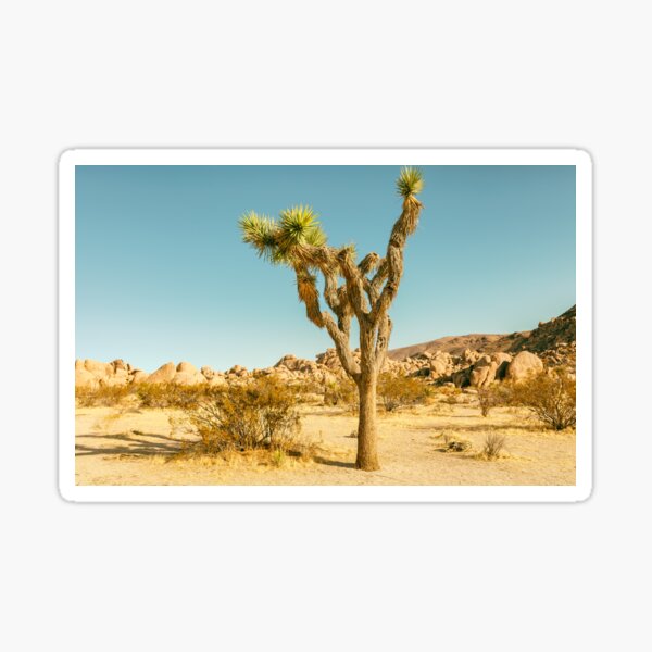 "Southwest Desert" Sticker for Sale by jvnimages | Redbubble