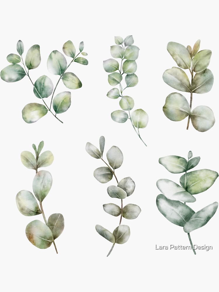 "Watercolor Eucalyptus Foliage Stickers" Sticker for Sale by AuburnArt ...