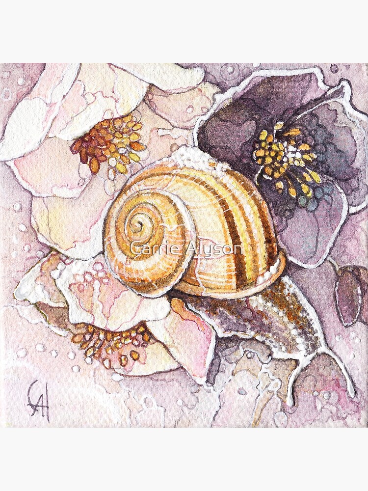 "Winter Snail" Art Print for Sale by kirimoth | Redbubble