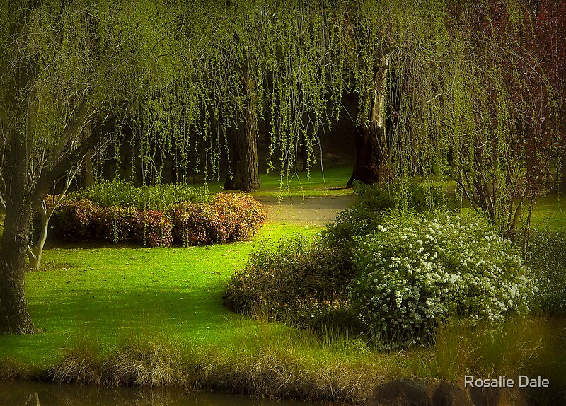 "Enticement . . ." by Rosalie Dale | Redbubble