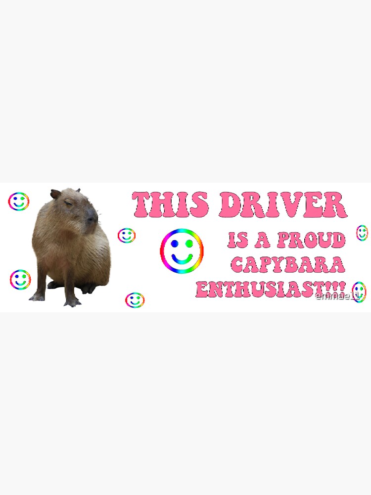 "Capybara enthusiast bumper" Sticker for Sale by emmae11 | Redbubble