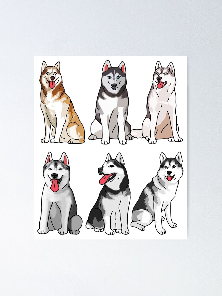 "Siberian Husky Dog Pack" Poster for Sale by virillanissa | Redbubble