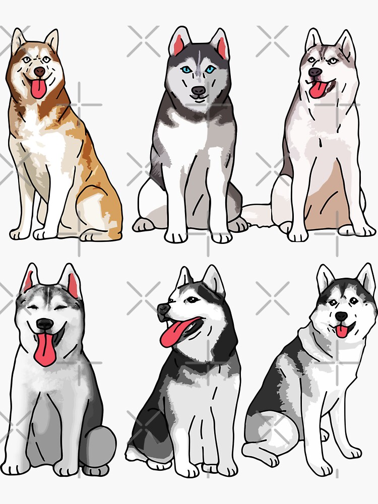 "Siberian Husky Dog Pack" Sticker for Sale by virillanissa | Redbubble