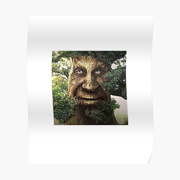 "mystischer baum, meme, meme mystischer baum, mystischer baum tiktok ...