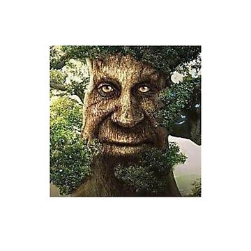 "mystical tree, meme, meme mystical tree, mystical tree tiktok, funny ...