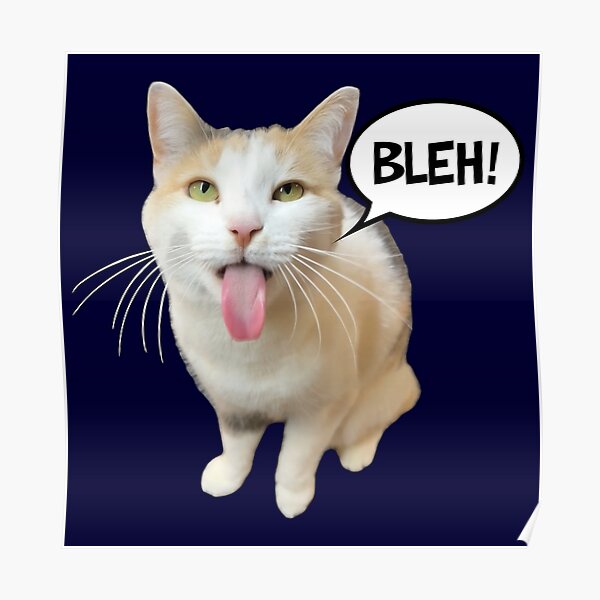 "Bleh P Cat Meme Face (Not Doing That Cat)" Poster for Sale by ...