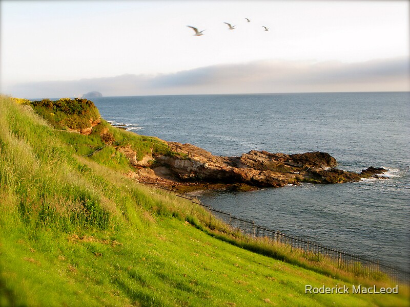 "Cliff Face at Dunbar, Scotland" by Roderick MacLeod | Redbubble
