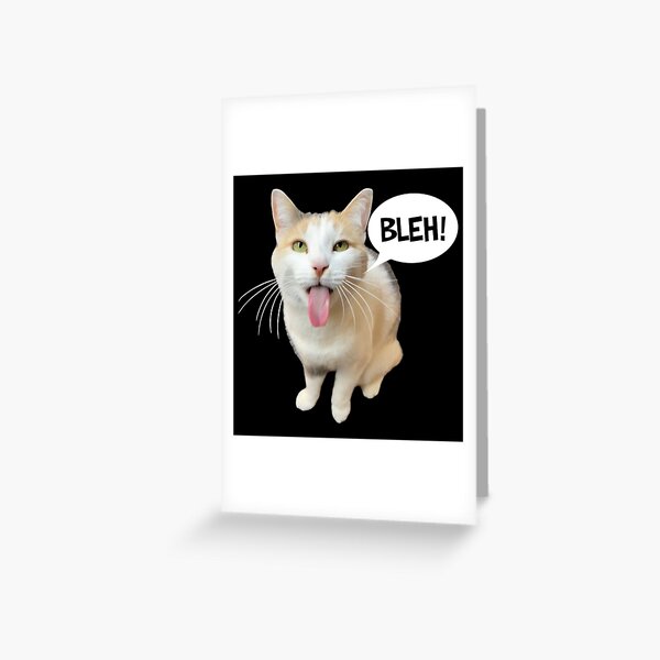"Funny Bleh P Cat Meme Face (Not Doing That Cat)" Greeting Card for ...