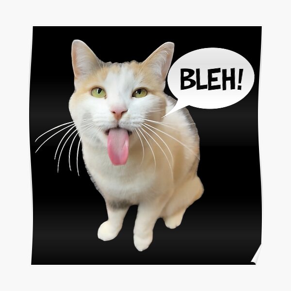 "Funny Bleh P Cat Meme Face (Not Doing That Cat)" Poster for Sale by ...
