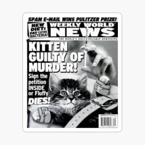 "Kitten guilty of murder bizarre odd strange feline kitty cat ...