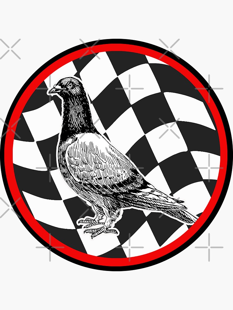 "Pigeon Race Winner" Sticker for Sale by QuirkyDesign101 | Redbubble