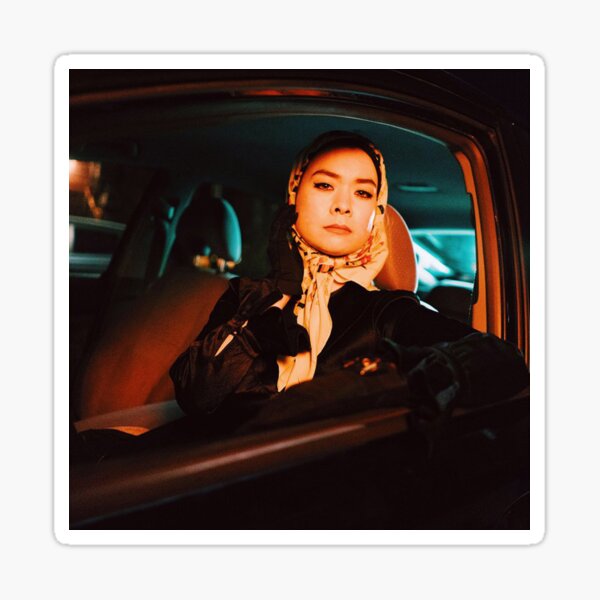 "MITSKI IN THE CAR" Sticker for Sale by BrandyKForth | Redbubble