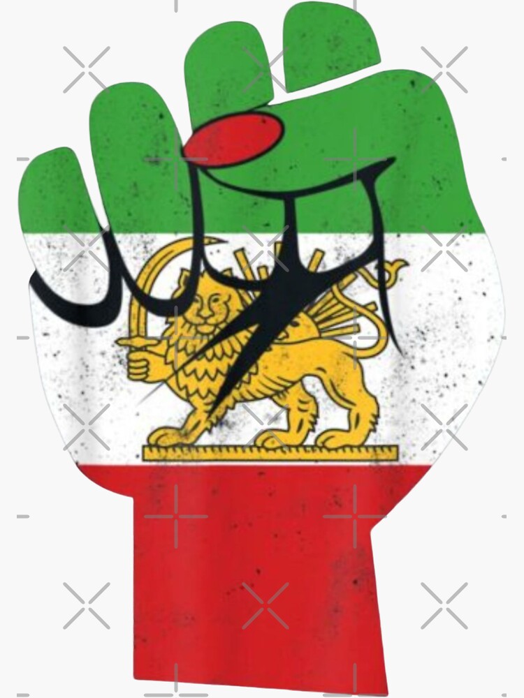 "Mahsa Amini、Iranian Women、Women Lives Freedom & Azadi、I Will Be ...