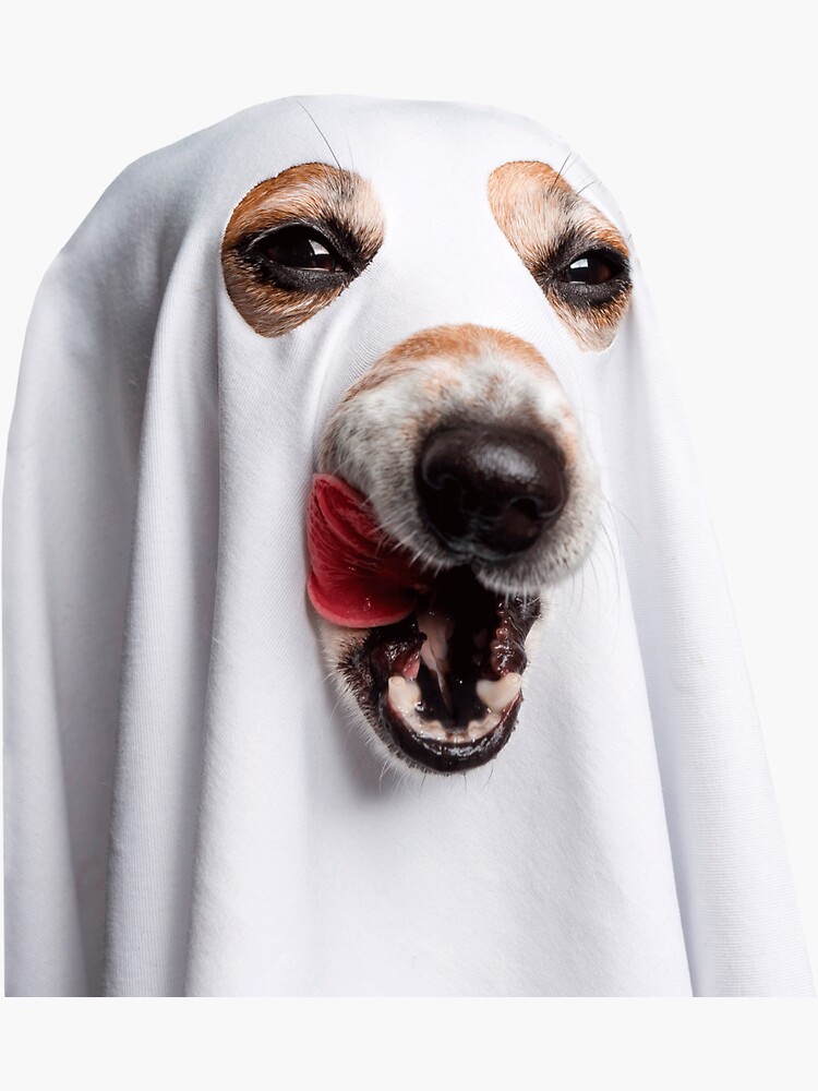 "Cute and Funny Ghost Dog With Halloween Costume" Sticker for Sale by ...