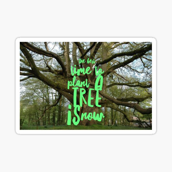 "Plant a tree" Sticker by bumblethebee | Redbubble