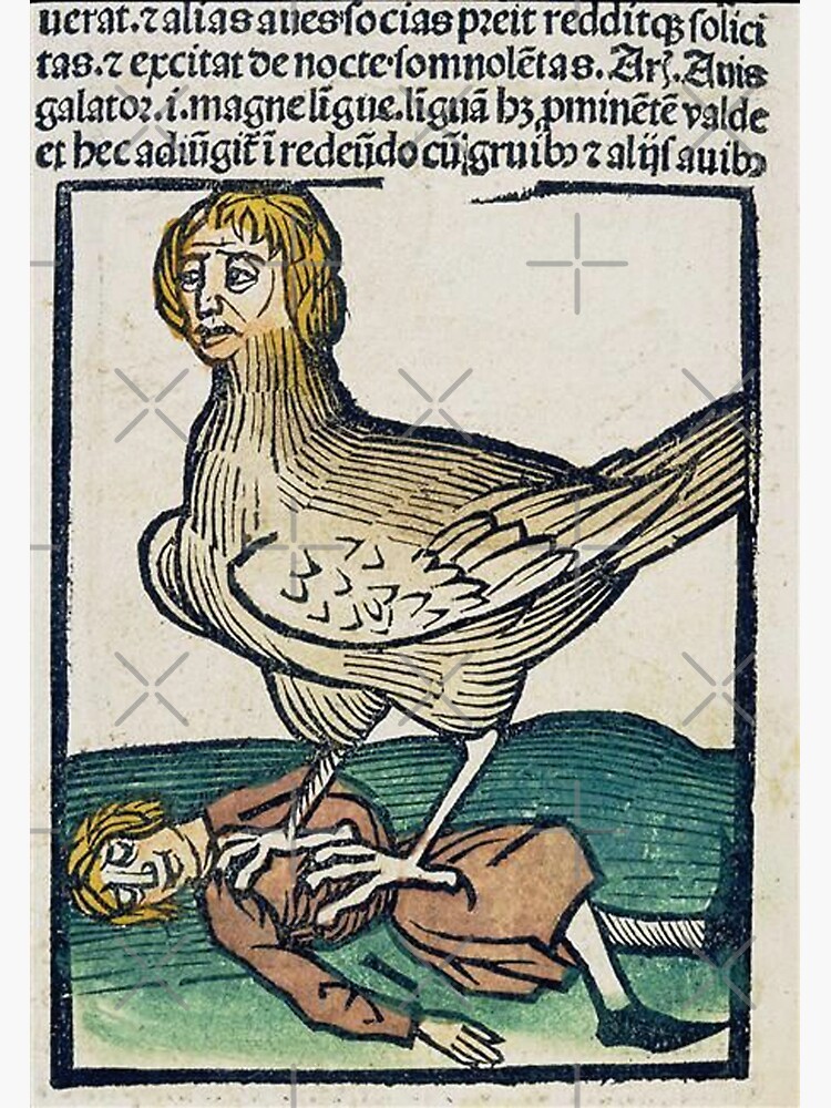 "Medieval Creature Meme" Poster for Sale by VintageManiac | Redbubble