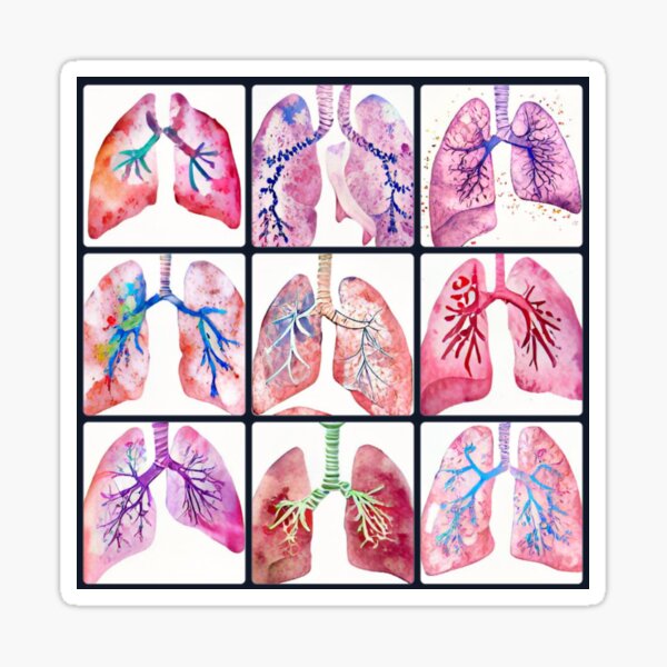 "Lung Health Pack " Sticker for Sale by CinderPress | Redbubble