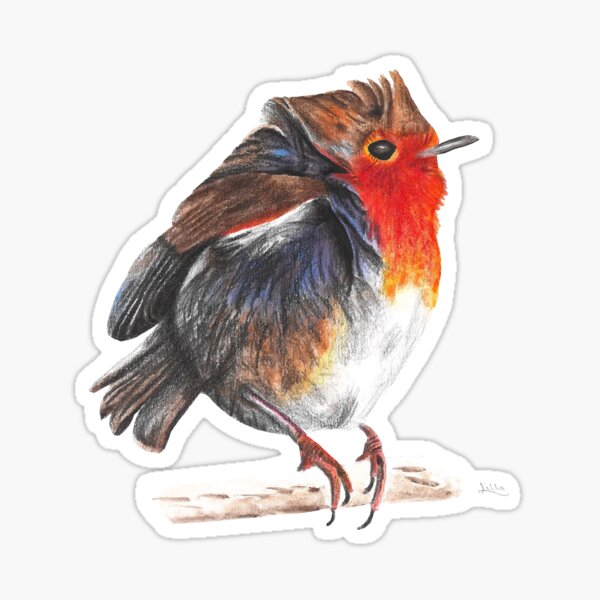 "Robin" Sticker for Sale by LillaArtNature | Redbubble